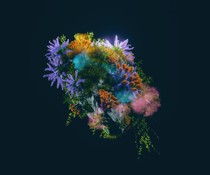 Alien nature - Art direction portfolio - TONON